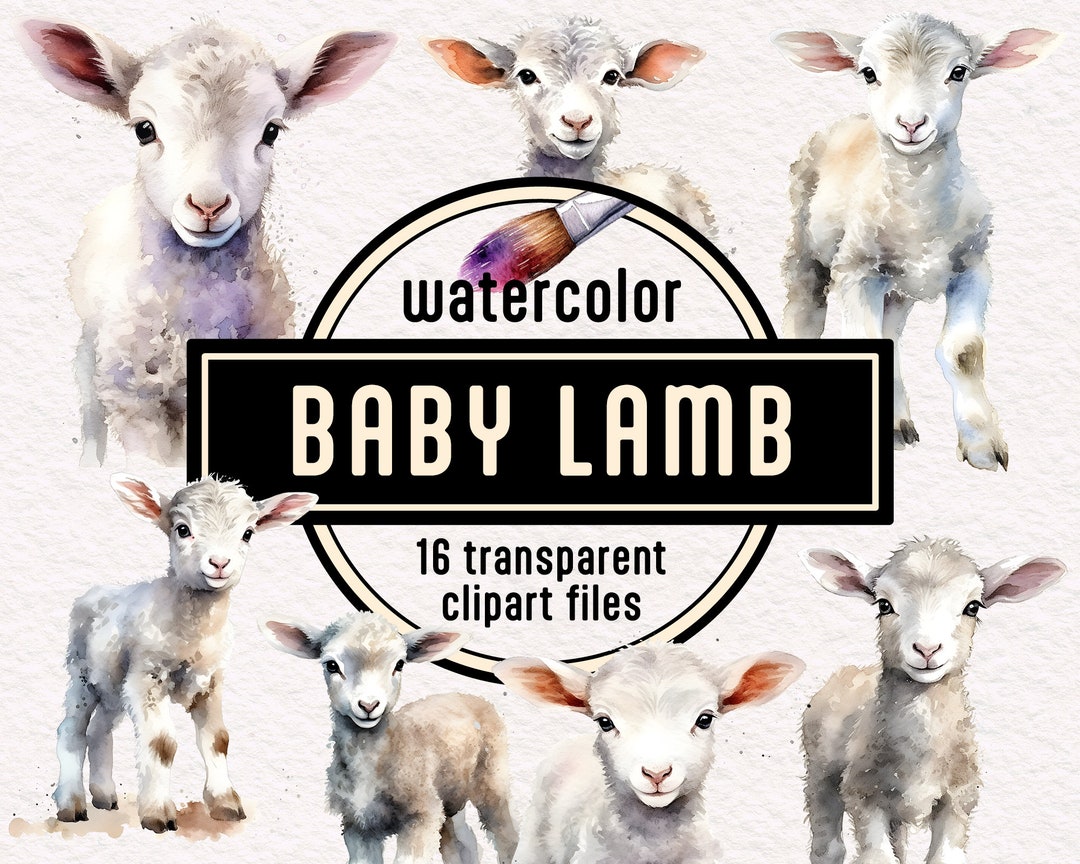 Baby Lamb Clipart, Lamb PNG, Baby Animals, Farm Animals PNG, Baby Sheep ...