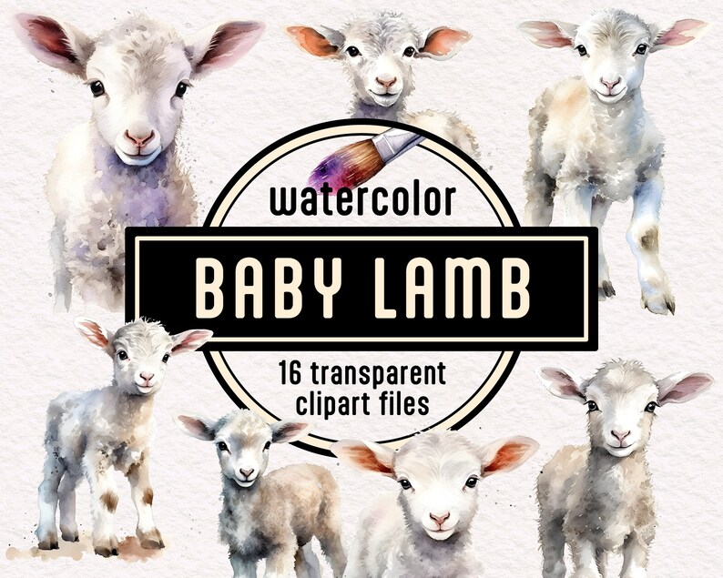 Baby Lamb Clipart, Lamb PNG, Baby Animals, Farm Animals PNG, Baby Sheep ...