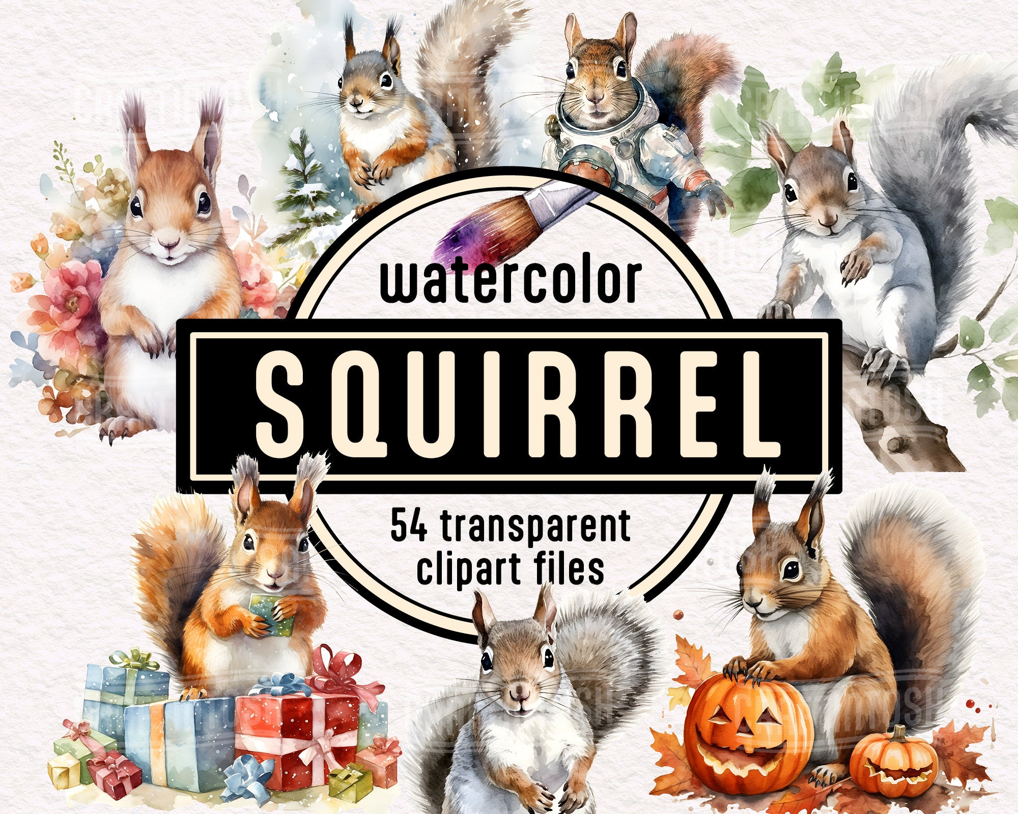 Watercolor Squirrel Clipart Bundle: PNG Cute Woodland Animals Nursery ...