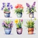 Watercolor Spring Flower Pots Clipart: Cottagecore Potted Plant PNG ...