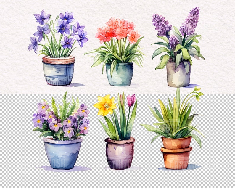 Watercolor Spring Flower Pots Clipart: Cottagecore Potted Plant PNG ...