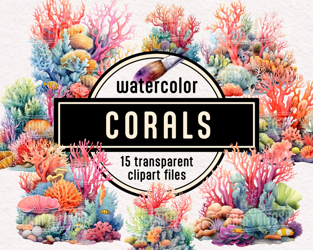 Watercolor Corals Clipart Transparent Summer Clipart Underwater PNG ...
