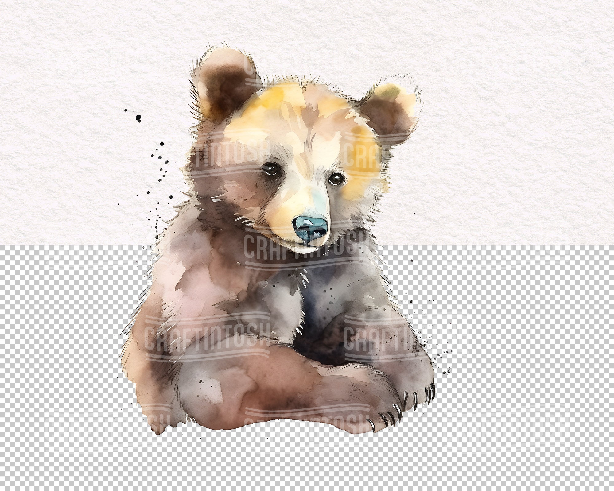 Watercolor Baby Bear Clipart Cute Forest Animals, Teddy Bear Image PNG ...