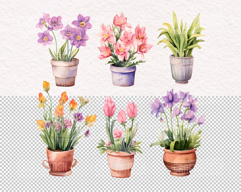 Watercolor Spring Flower Pots Clipart: Cottagecore Potted Plant PNG ...