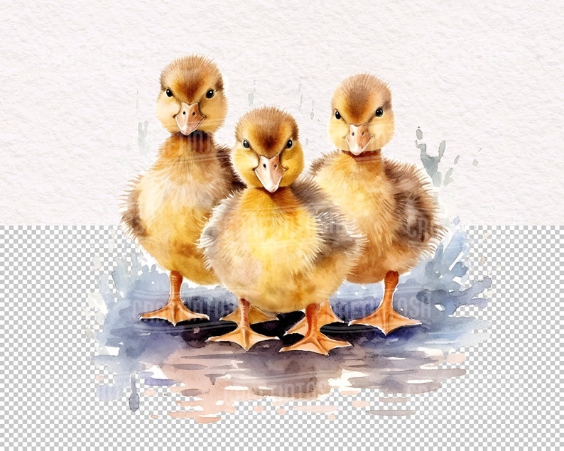 Watercolor Ducklings PNG Bundle - 28 Chicks Clipart, Easter, Baby Ducks ...