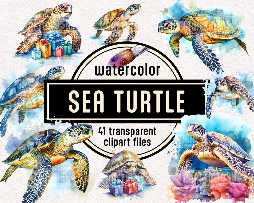 Watercolor Sea Turtle Clipart Transparent PNG Instant Download ...