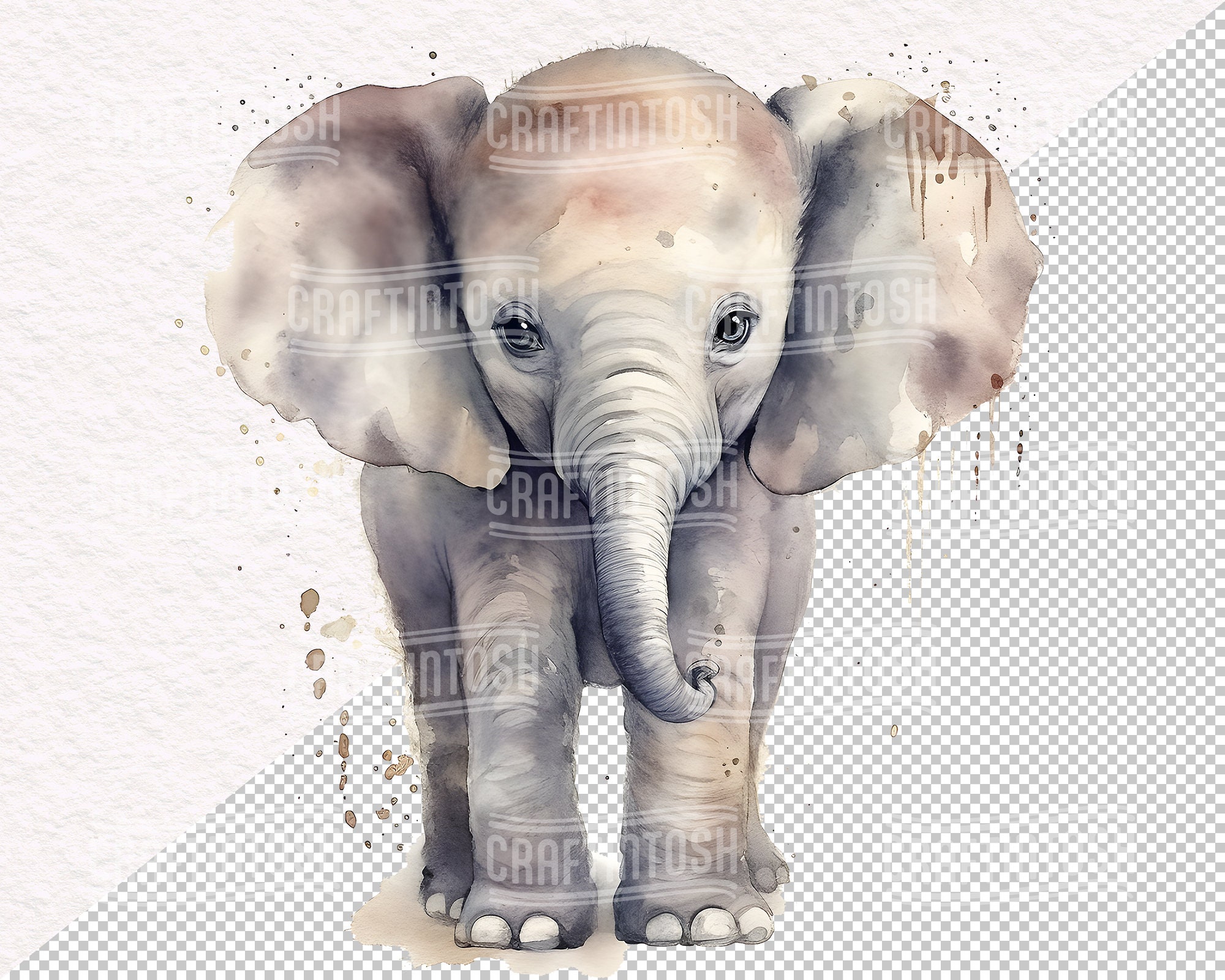 Watercolor Baby Safari Animals PNG Clipart Set Digital - Etsy