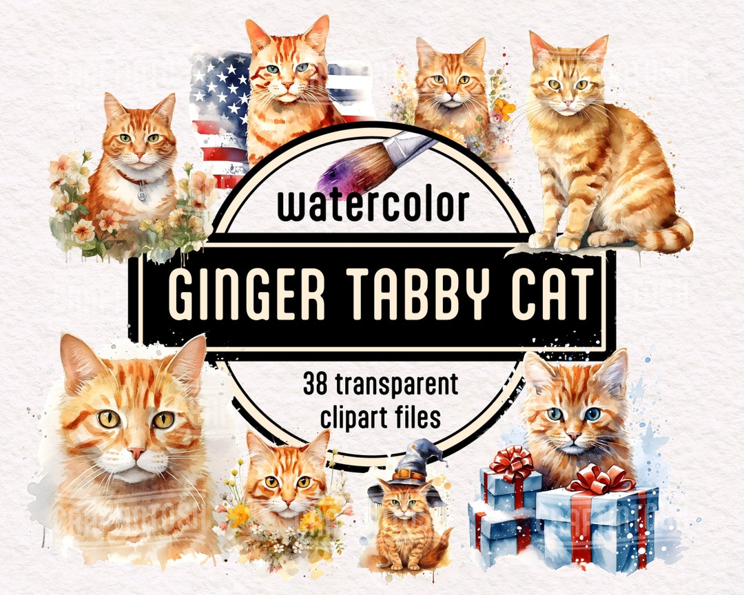 Watercolor Ginger Tabby Cat PNG Transparent Clipart, Orange Tabby With ...