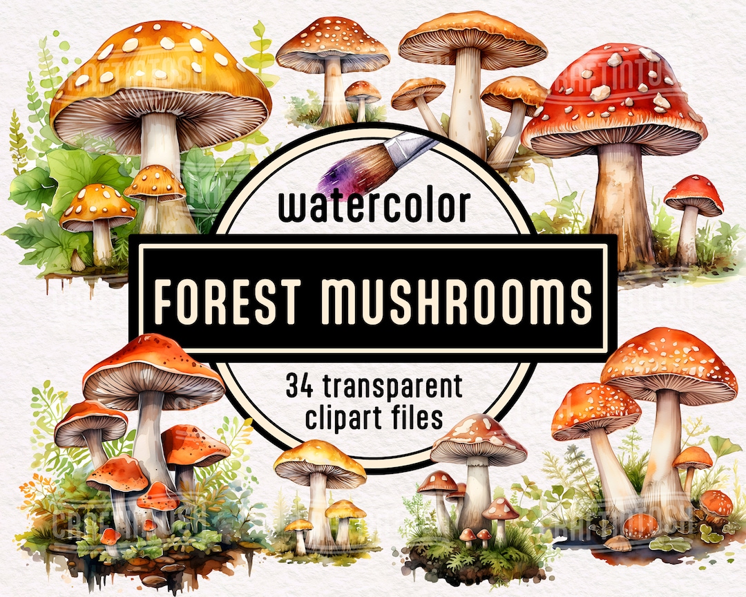 Watercolor Wild Forest Mushrooms Clipart - Autumn Clipart Mushrooms PNG ...