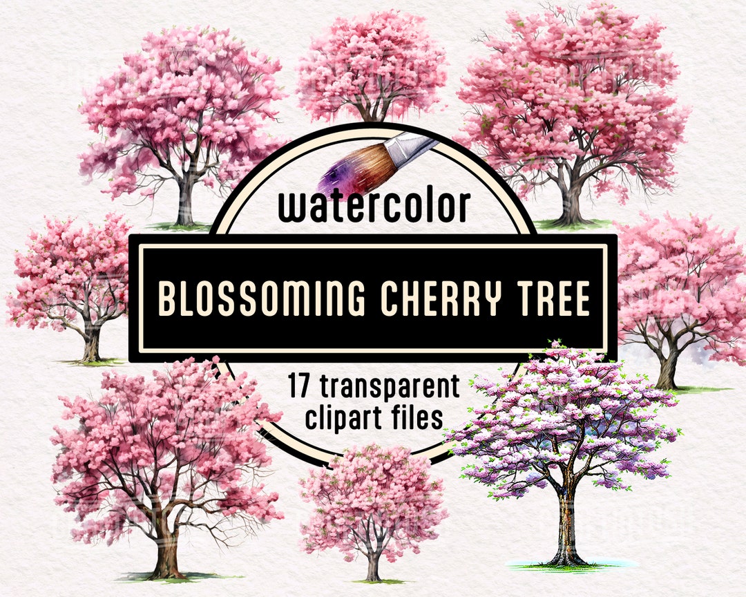 Watercolor Pink Cherry Blossom Tree Clip Art Transparent Pink Sakura ...