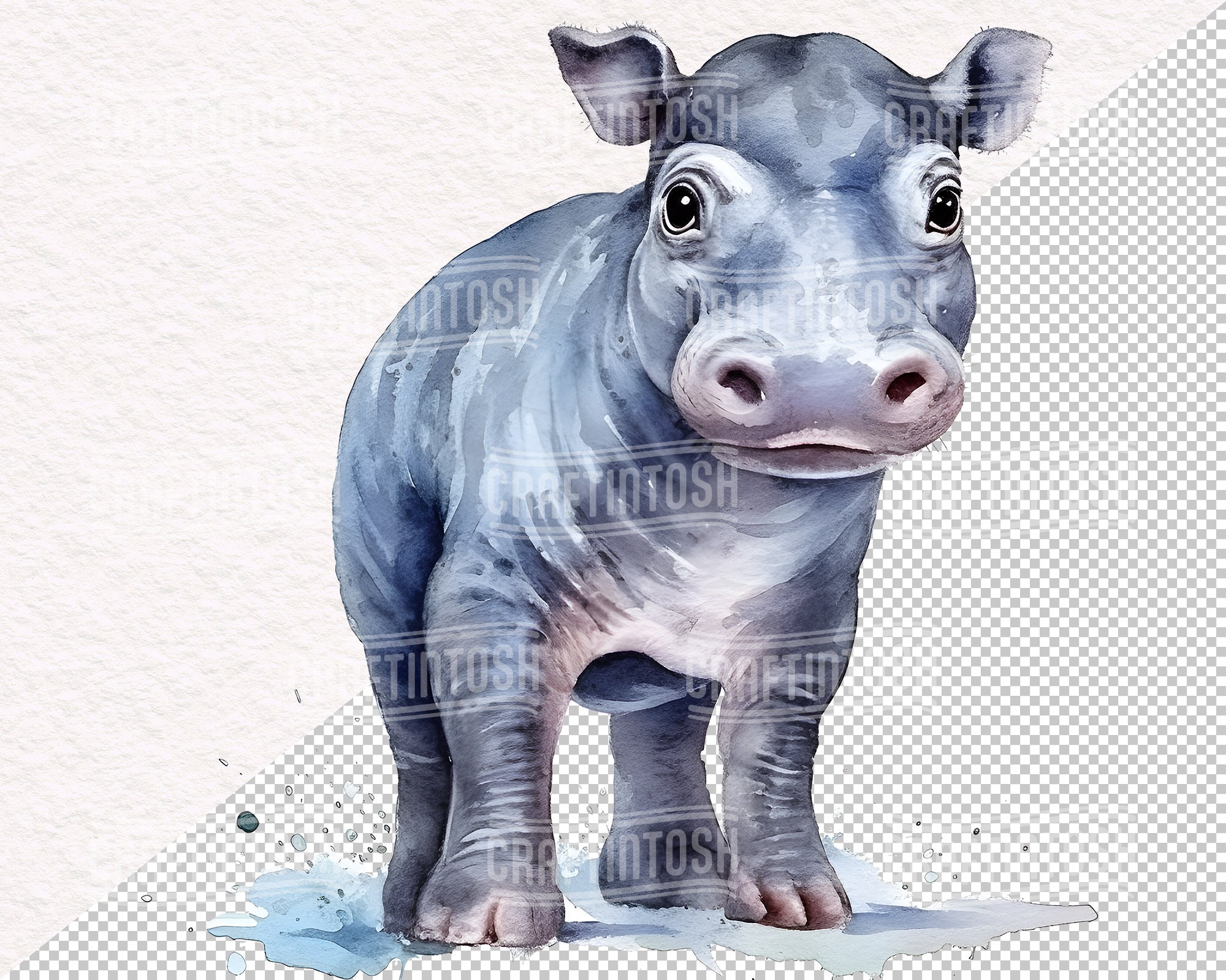 Watercolor Baby Safari Animals PNG Clipart Set Digital - Etsy