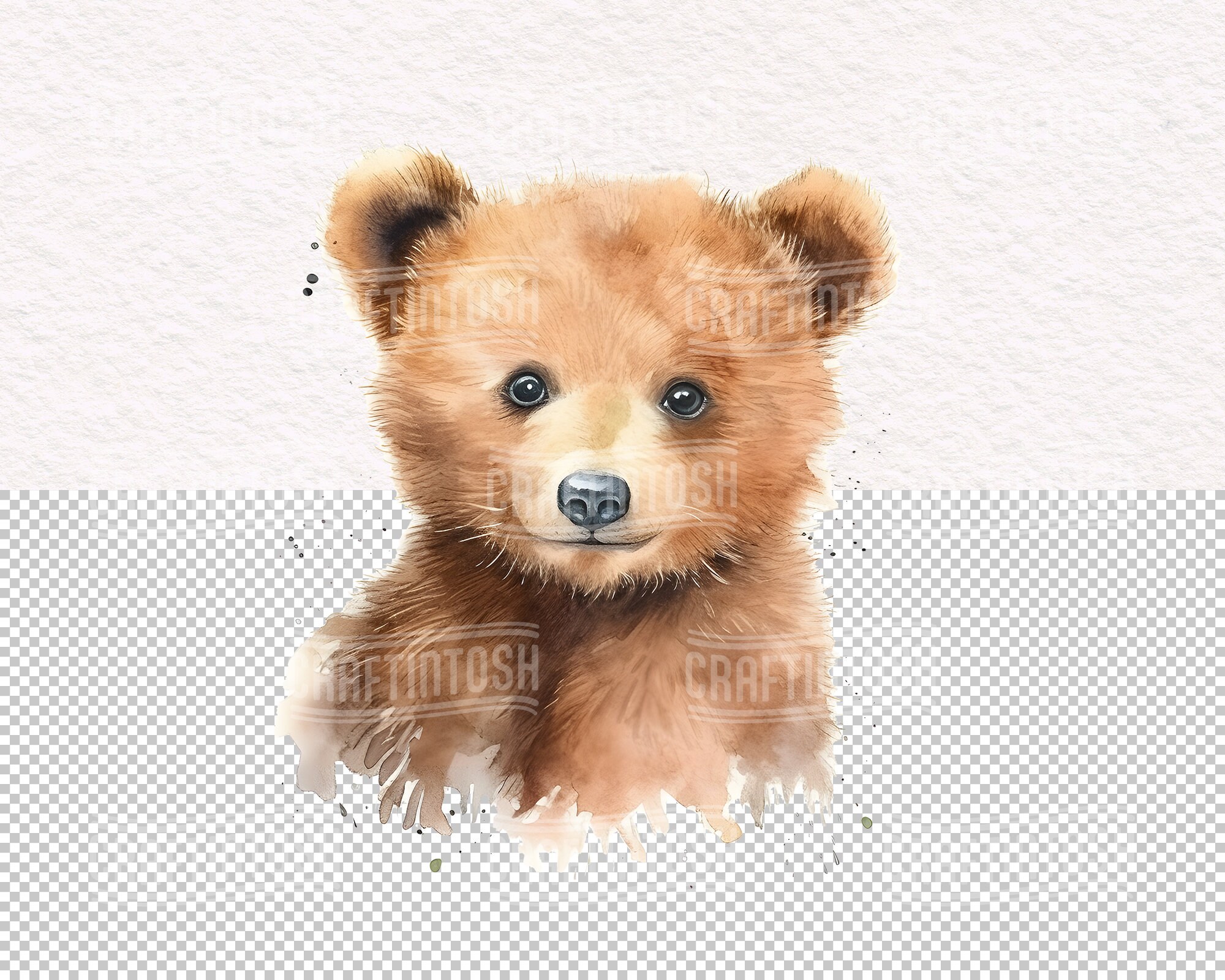 Watercolor Baby Bear Clipart Cute Forest Animals, Teddy Bear Image PNG ...