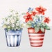Watercolor Spring Flower Pots Clipart: Cottagecore Potted Plant PNG ...