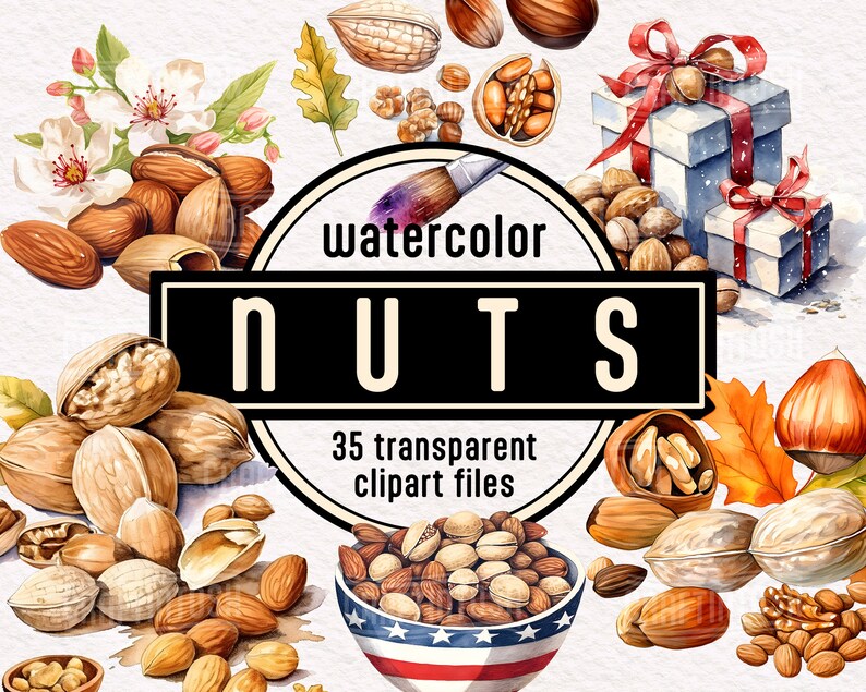 Watercolor Nuts Clipart Bundle: PNG Autumn Harvest Walnut Peanut ...
