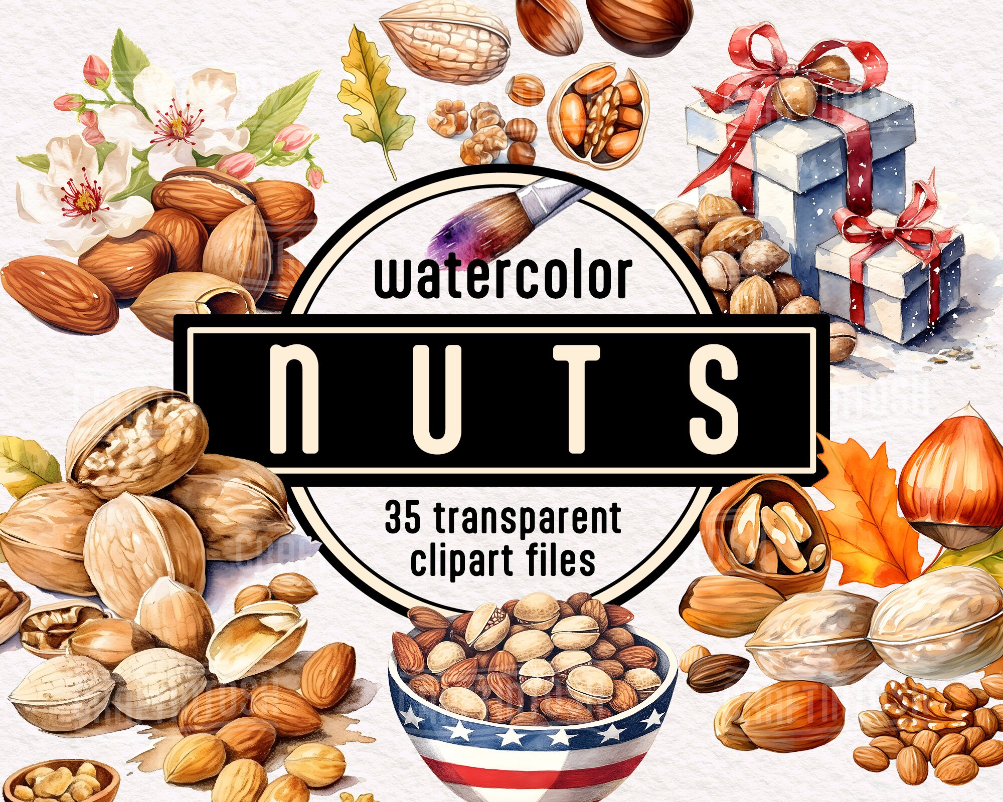Watercolor Nuts Clipart Bundle: PNG Autumn Harvest Walnut Peanut ...