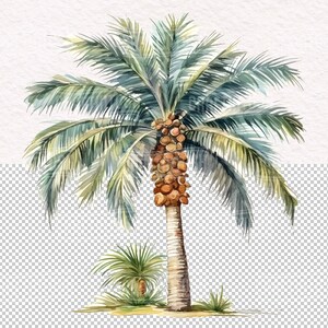 Watercolor Palm Tree Clipart Tropical PNG Christmas Palm Tree Instant ...