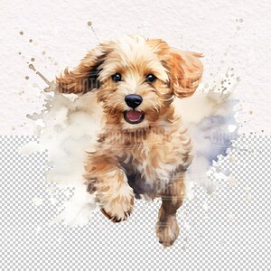 Watercolor Cockapoo Dog PNG Clipart - Cute Puppies Pet Portrait Animal ...