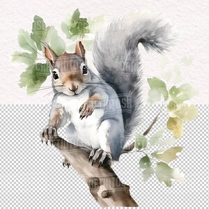 Watercolor Squirrel Clipart Bundle: PNG Cute Woodland Animals Nursery ...