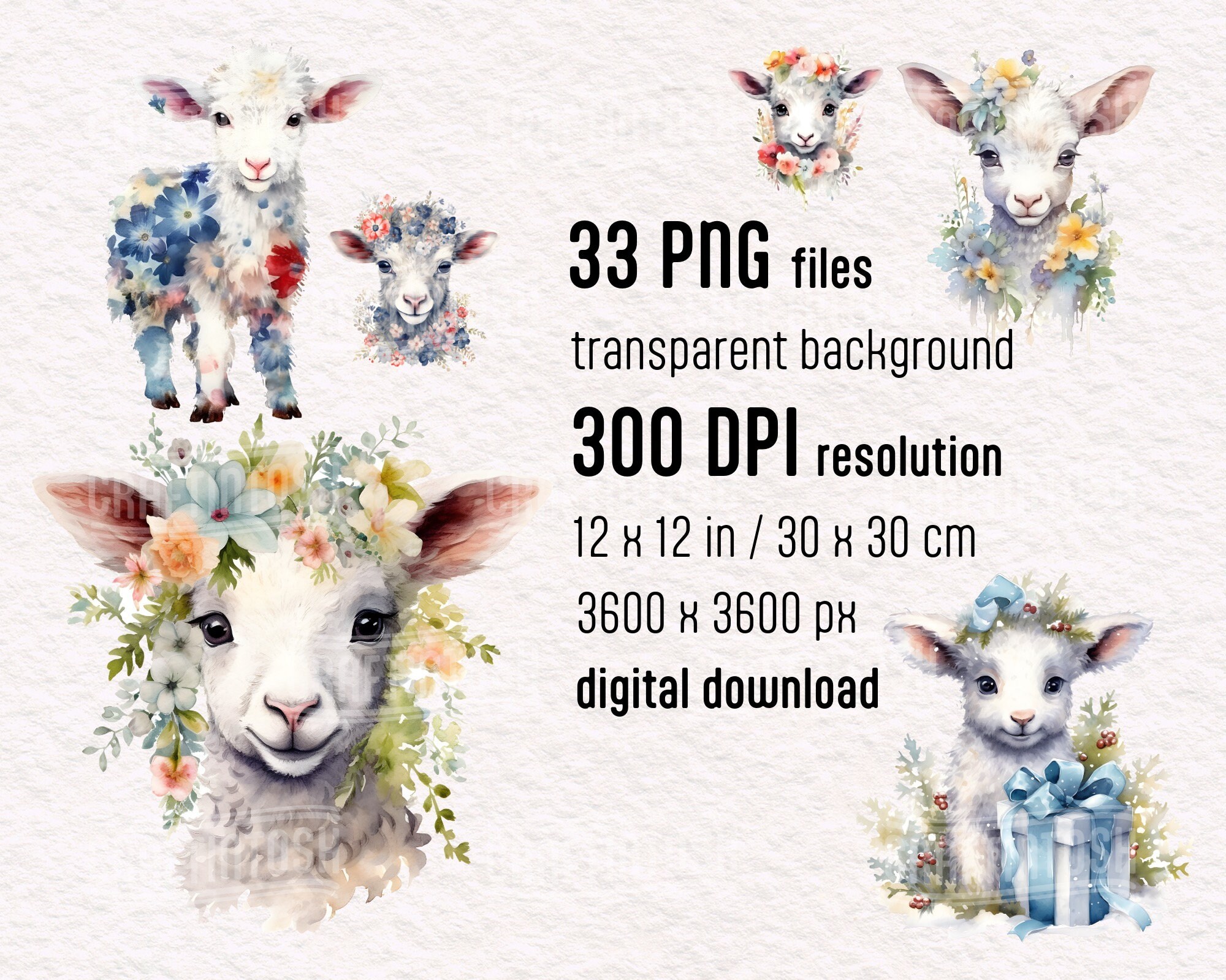 Floral Baby Lamb Clipart Spring Lamb PNG With Flowers for Nursery Wall ...