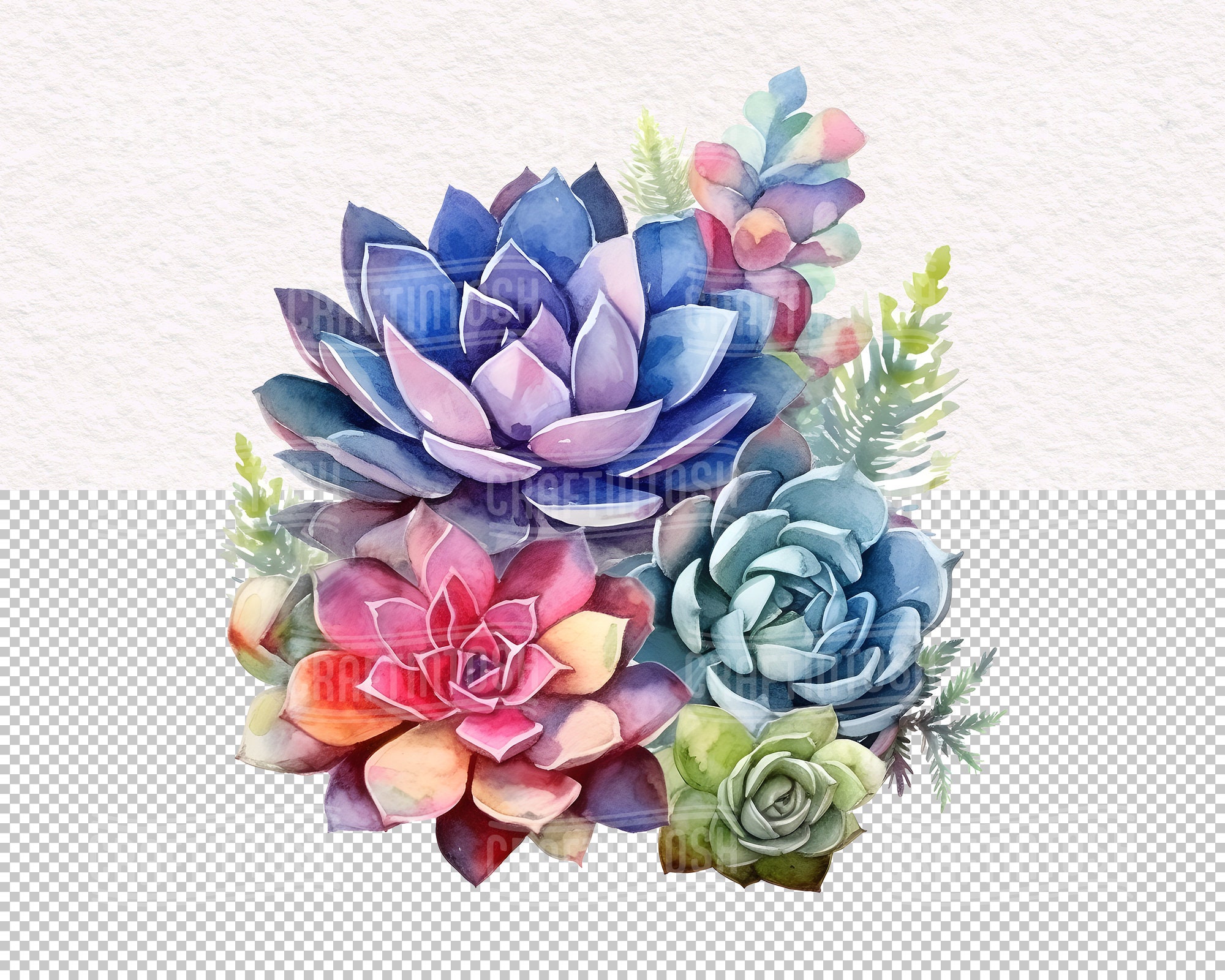 Watercolor Succulent Clipart Transparent Floral PNG Green Blue Purple ...