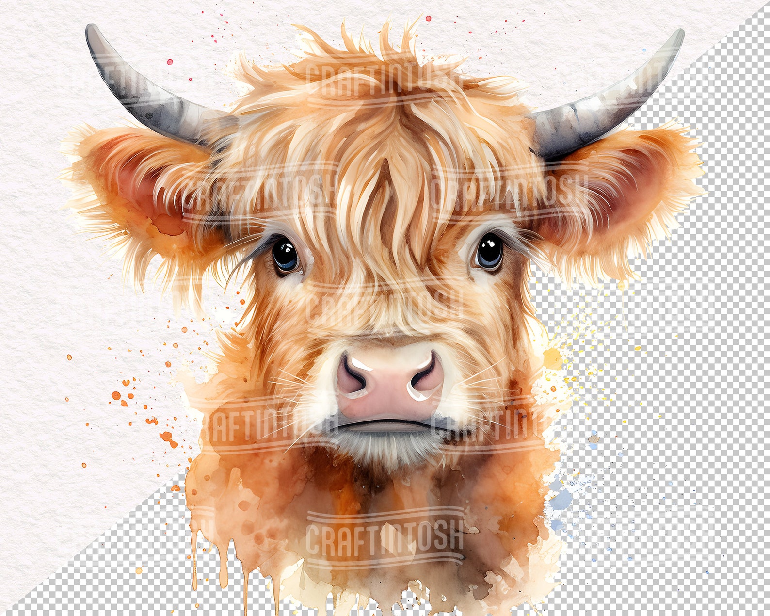 Watercolor Baby Highland Cow Clipart Set - Digital Graphics Instant ...