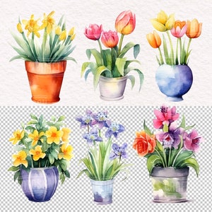 Watercolor Spring Flower Pots Clipart: Cottagecore Potted Plant PNG ...