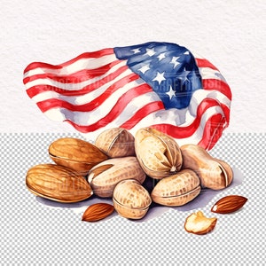 Watercolor Nuts Clipart Bundle: PNG Autumn Harvest Walnut Peanut ...