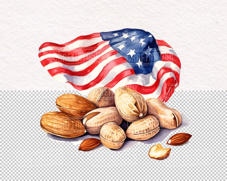 Watercolor Nuts Clipart Bundle: PNG Autumn Harvest Walnut Peanut ...