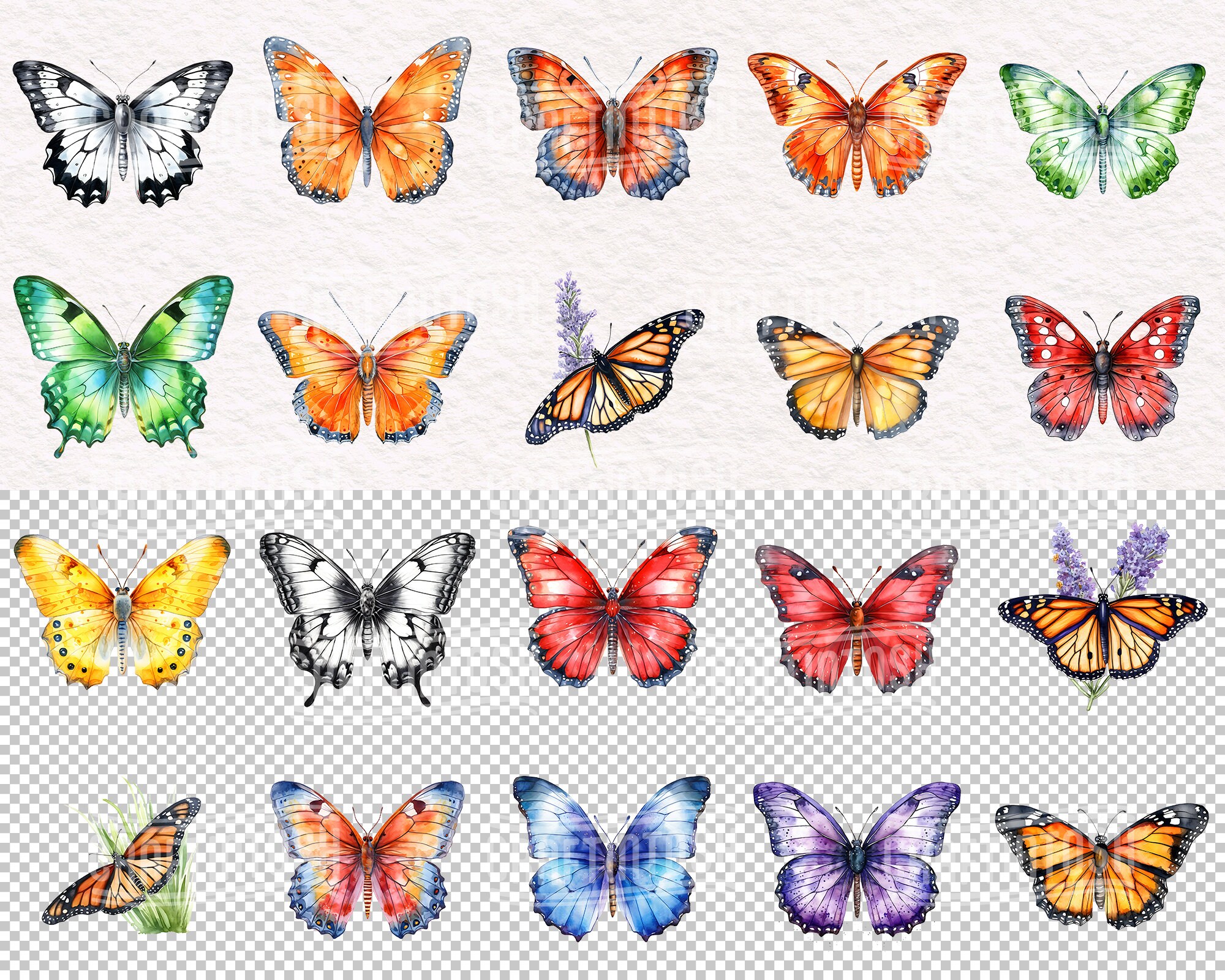 Watercolor Butterfly PNG Transparent Clip Art Set - Digital Graphics ...