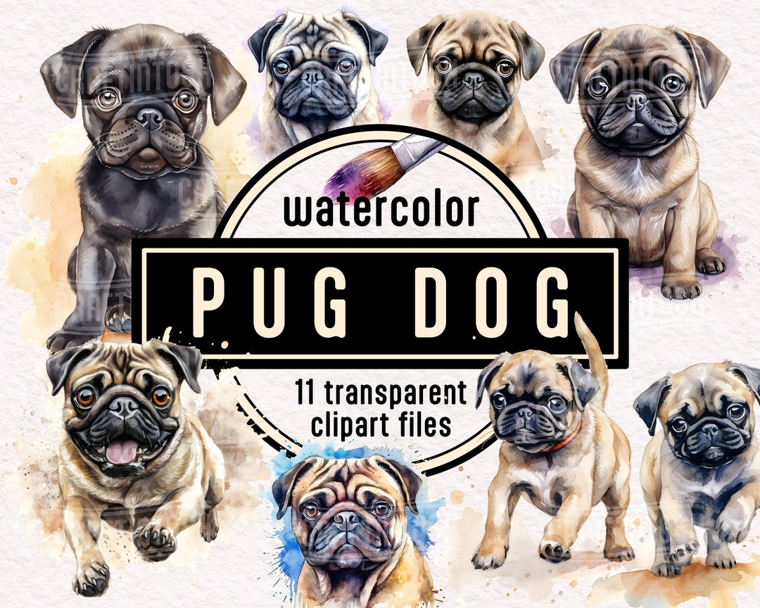 Watercolor Pug Dog and Puppies Clipart - Cute Pet Portrait Animal PNG ...