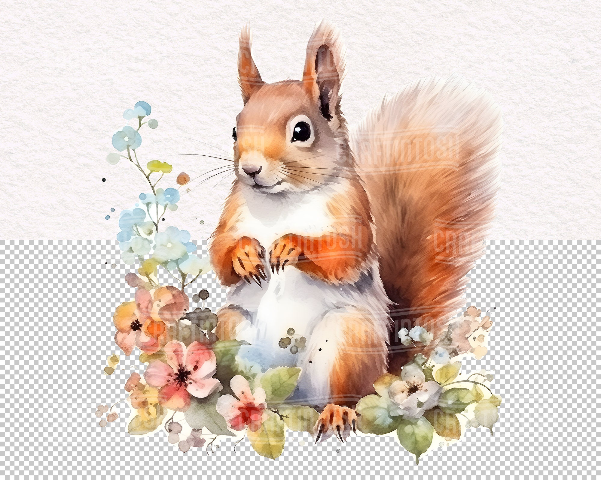 Watercolor Squirrel Clipart Bundle: PNG Cute Woodland Animals Nursery ...