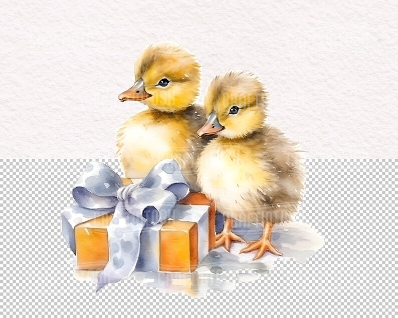 Watercolor Ducklings PNG Bundle - 28 Chicks Clipart, Easter, Baby Ducks ...