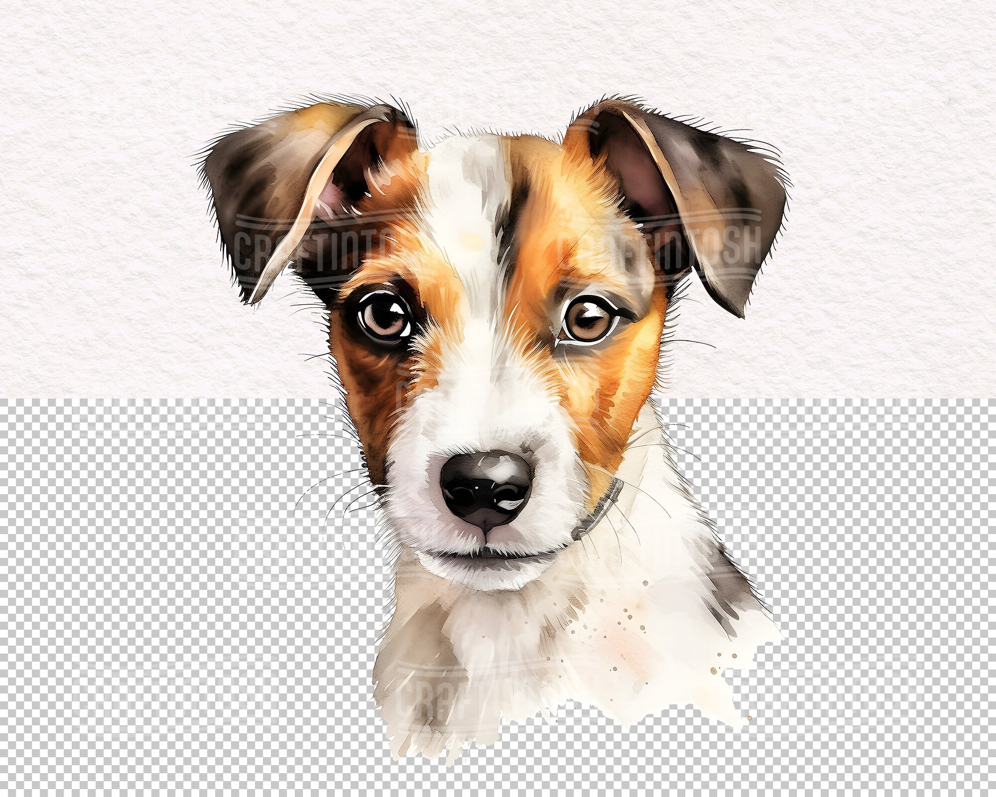 Watercolor Jack Russell Dog PNG Clipart Cute Puppies Pet - Etsy