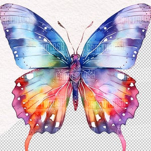 Watercolor Butterfly PNG Transparent Clip Art Set - Digital Graphics ...