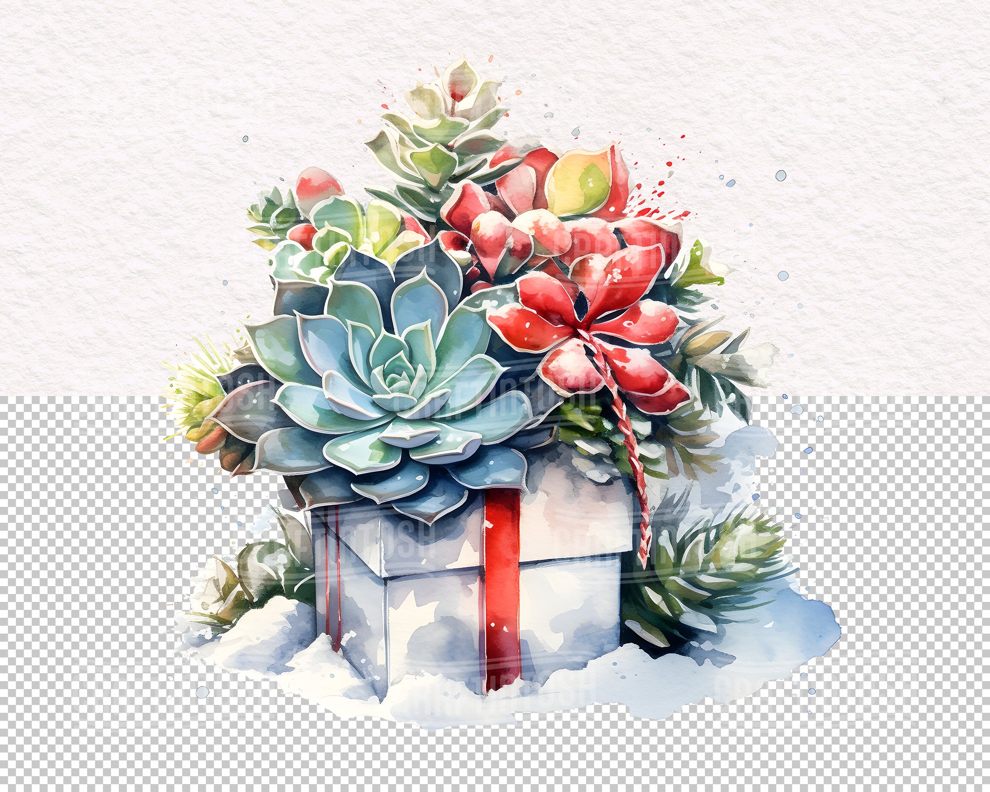 Watercolor Succulent Clipart Transparent Floral PNG Green Blue Purple ...