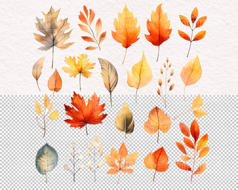 Watercolor Autumn Harvest Clipart - Fall Leaves PNG Mushrooms Cozy ...