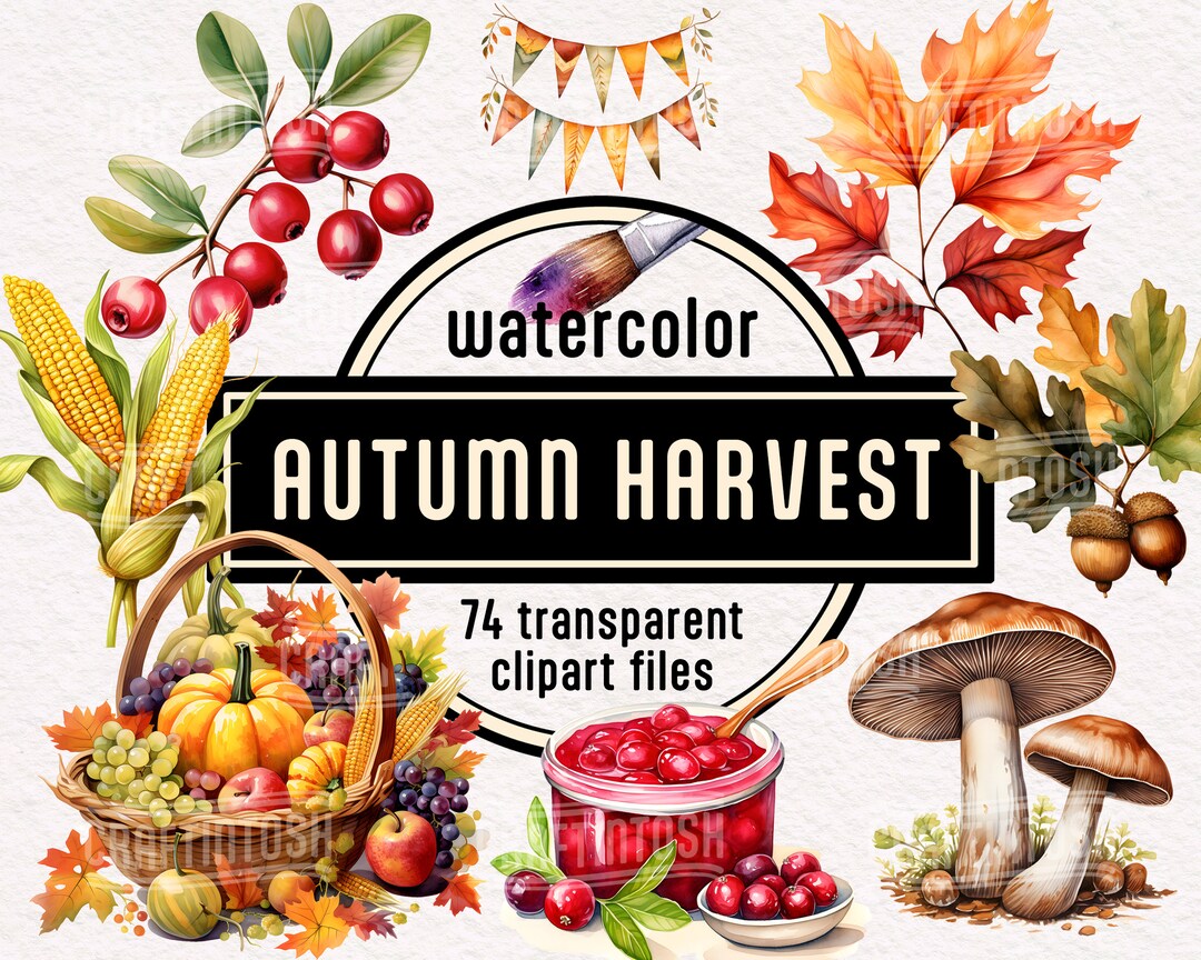 Watercolor Autumn Harvest Clipart - Fall Leaves PNG Mushrooms Cozy ...