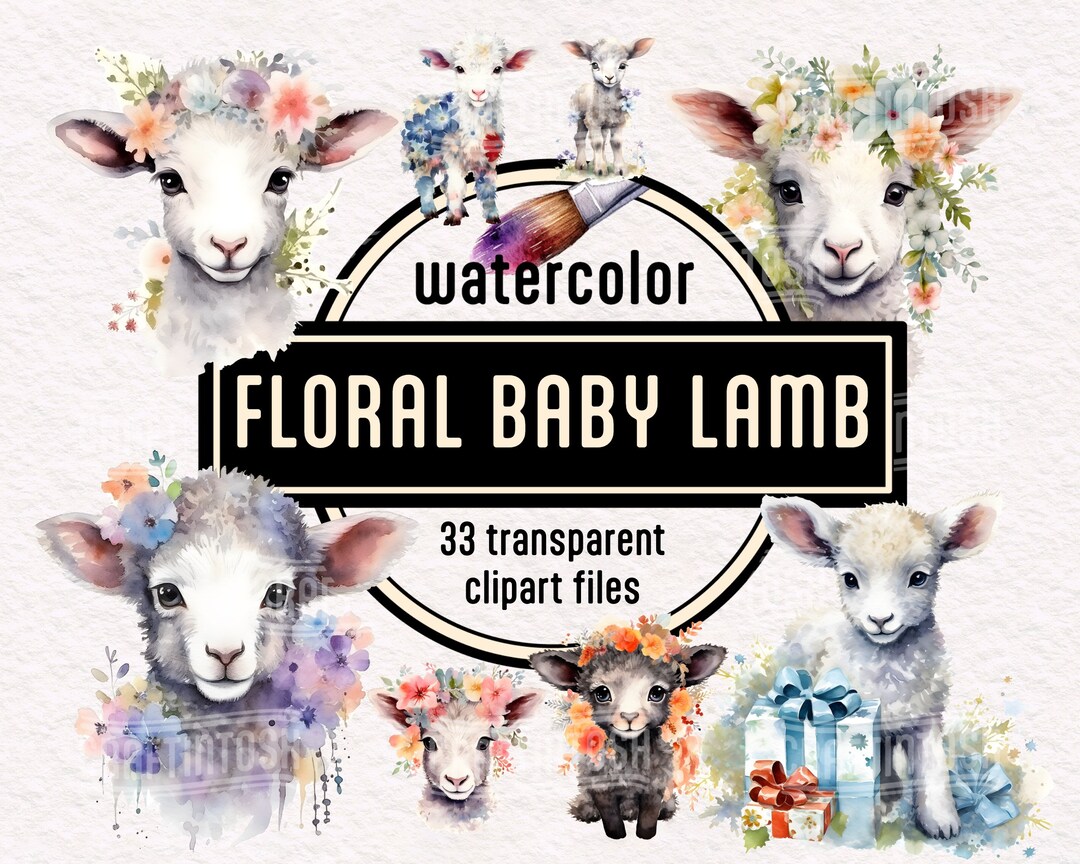Floral Baby Lamb Clipart Spring Lamb PNG With Flowers for Nursery Wall ...