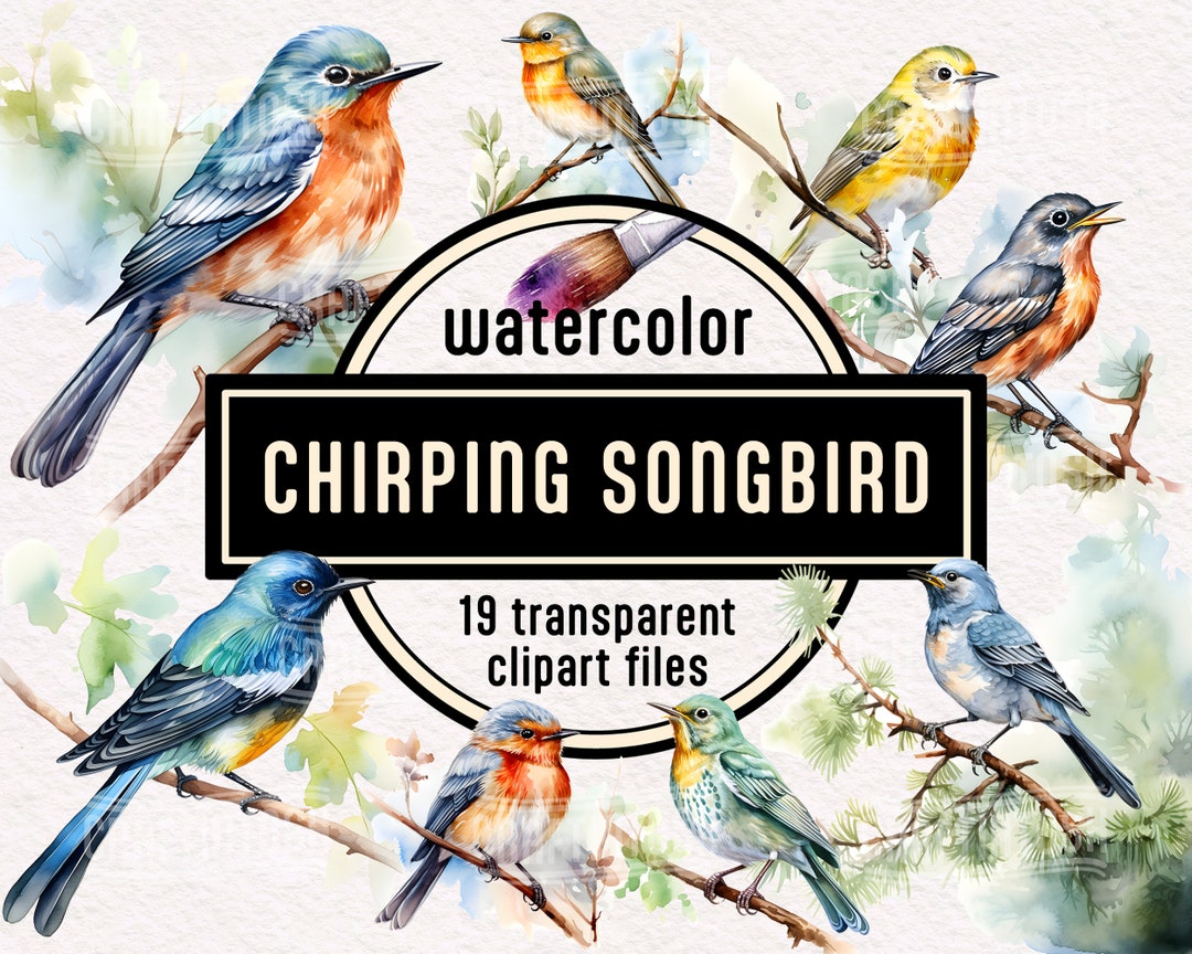 Watercolor Chirping Songbird Clipart - Transparent Bird on Tree Branch ...