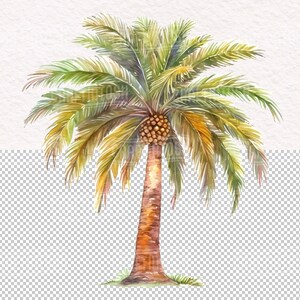Watercolor Palm Tree Clipart Tropical PNG Christmas Palm Tree Instant ...