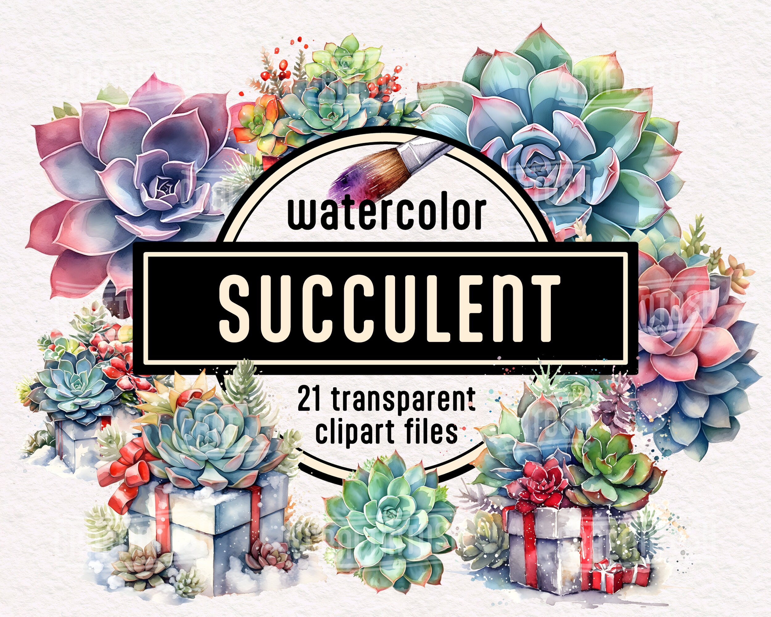 Watercolor Succulent Clipart Transparent Floral PNG Green Blue Purple ...
