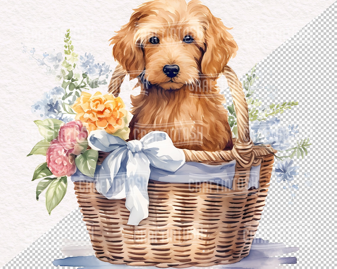 Goldendoodle PNG Dog Watercolor Clip Art Set Digital Graphics Instant ...