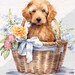Goldendoodle PNG Dog Watercolor Clip Art Set Digital Graphics Instant ...