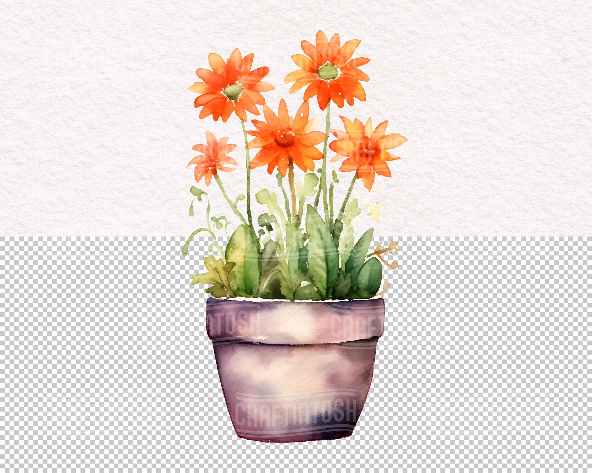 Watercolor Spring Flower Pots Clipart: Cottagecore Potted Plant PNG ...