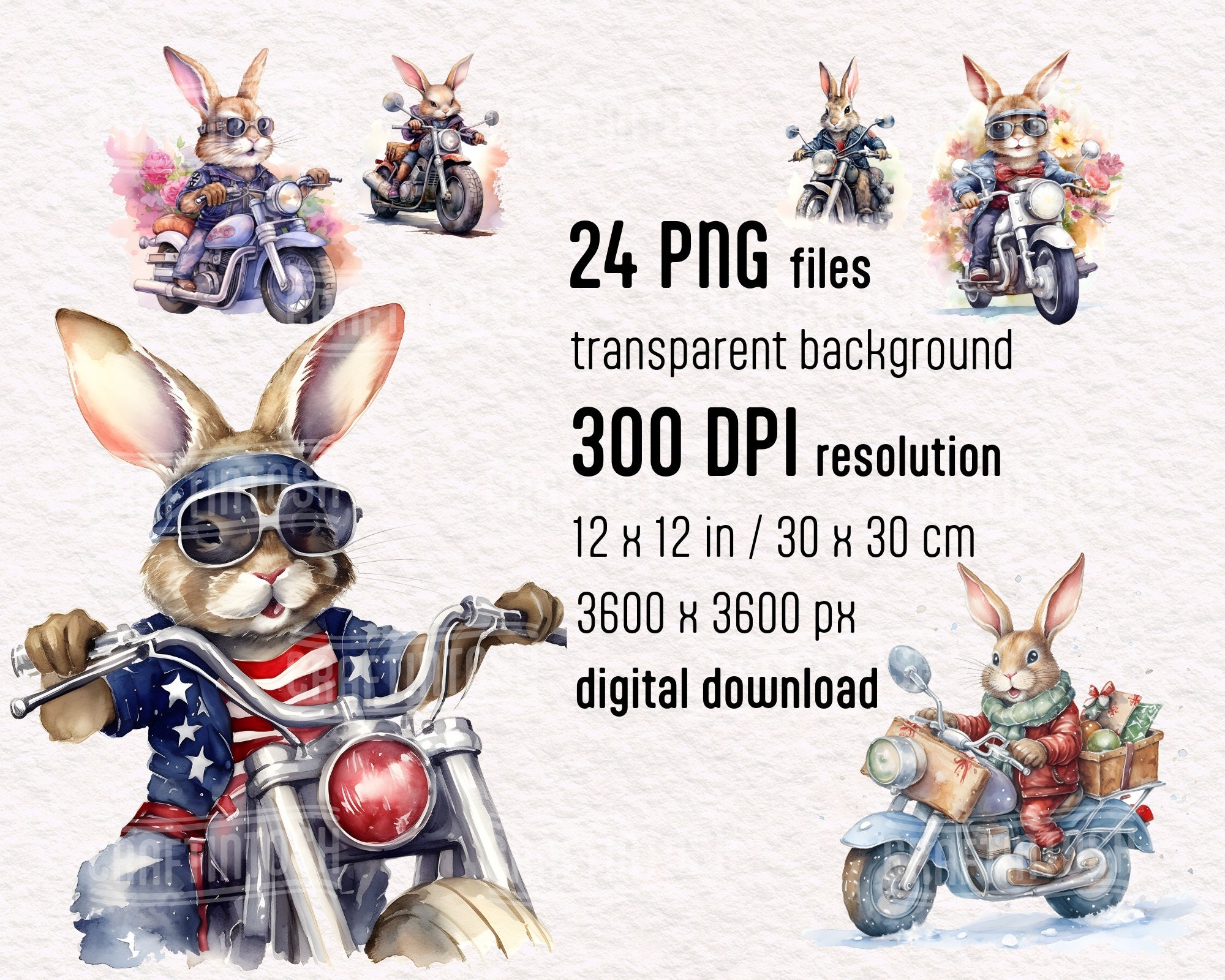 Watercolor Biker Bunny Clipart Bundle - Cute Bunny on Bike Printable ...