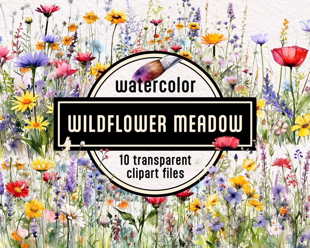 Watercolor Wildflower Meadow Clipart Bundle, Instant Download ...