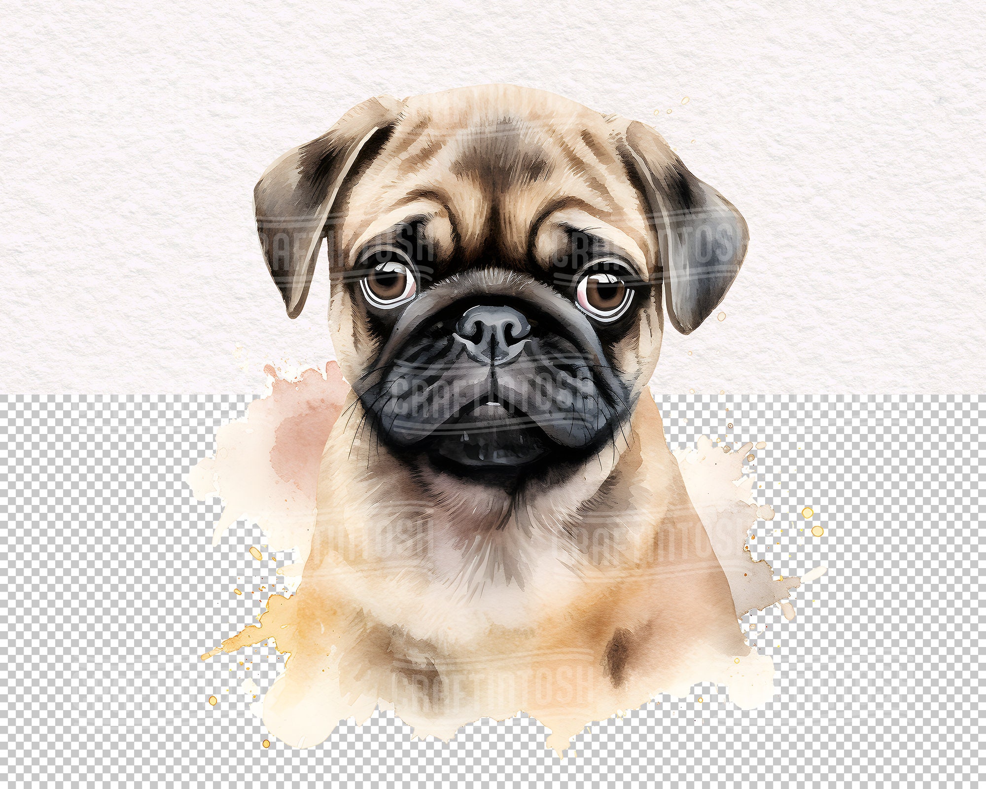 Watercolor Pug Dog and Puppies Clipart - Cute Pet Portrait Animal PNG ...