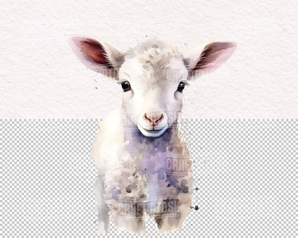 Baby Lamb Clipart, Lamb PNG, Baby Animals, Farm Animals PNG, Baby Sheep ...
