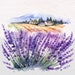 Watercolor Lavender Clipart - Transparent Scrapbooking Herb Clip Art ...
