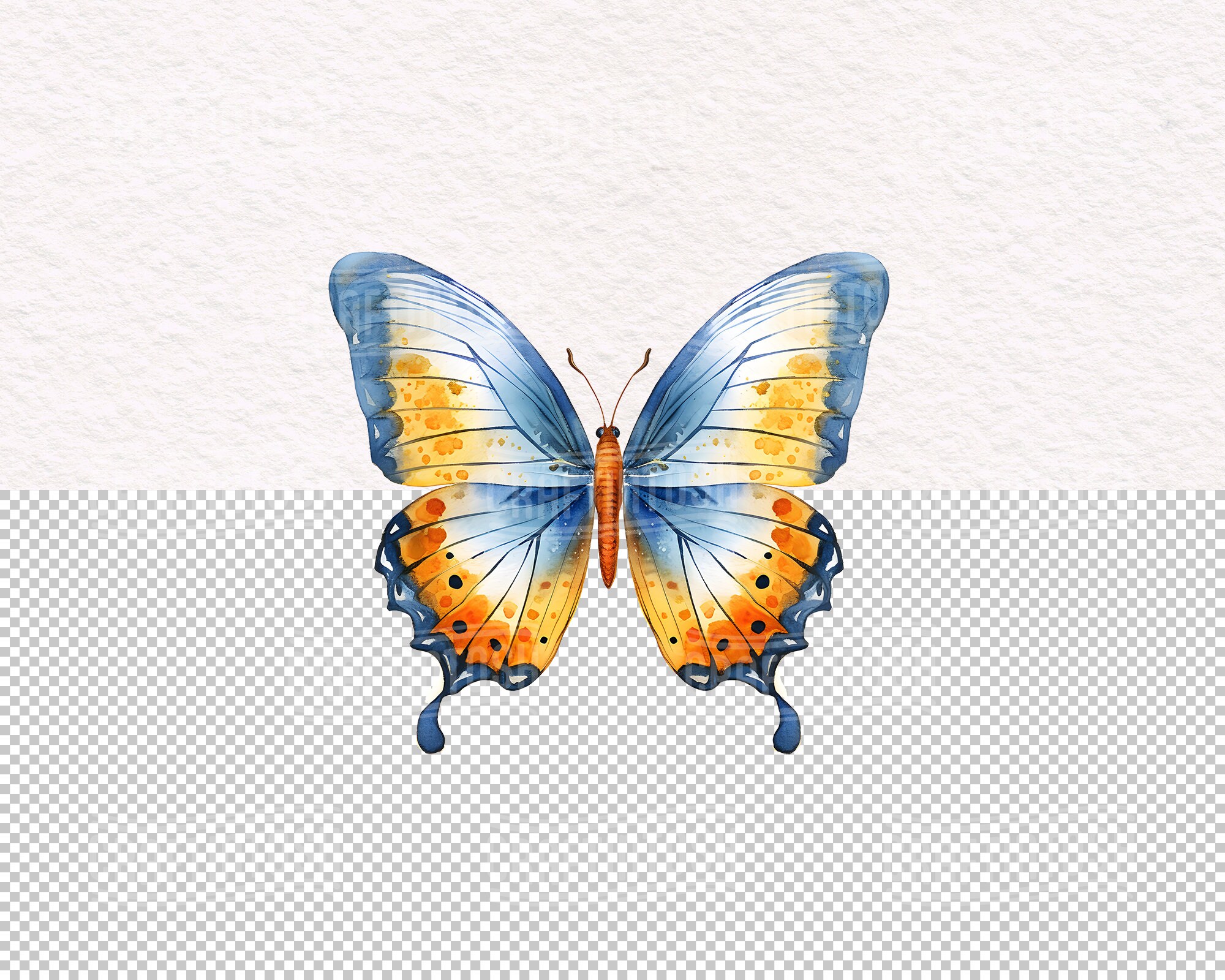 Fluttering Butterfly Watercolor Clipart Transparent Hello Summer PNG ...